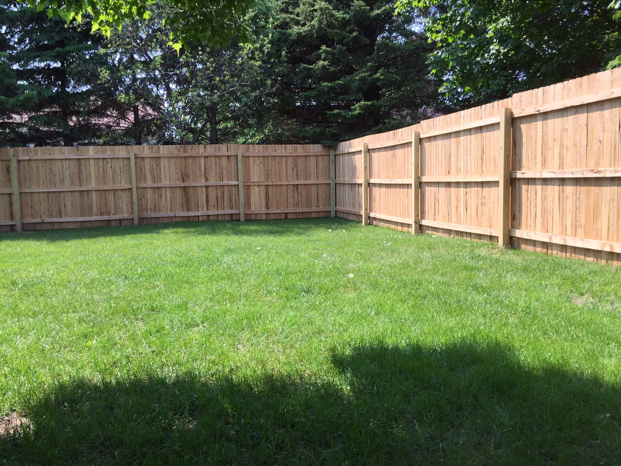 Minnesota White Cedar | Wood Fence Manufacturer | Littlefork MN